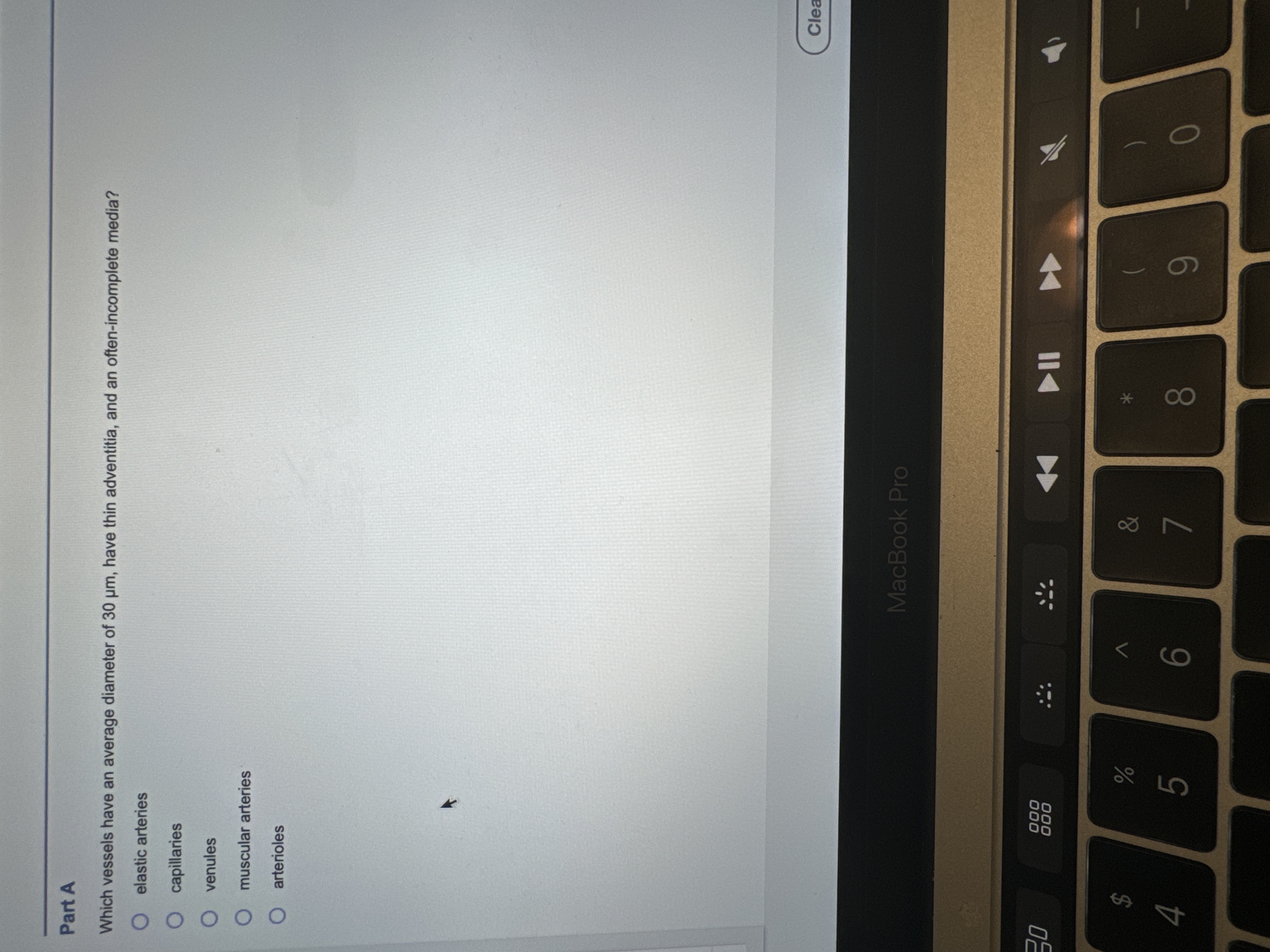 Solved Part AWhich vessels have an average diameter of | Chegg.com