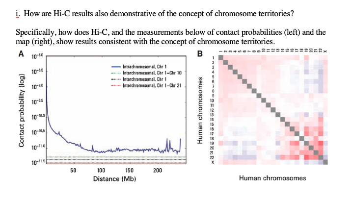 i. How are Hi-C results also demonstrative of the | Chegg.com