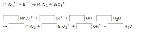 Solved MnO4- + Brt. → MnO2 + Bro 31- Mn04 1- + Br1- + он1- | Chegg.com