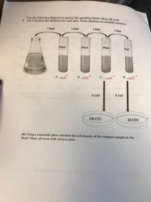 3. (A) Caleulate the dilutions for each tube. | Chegg.com