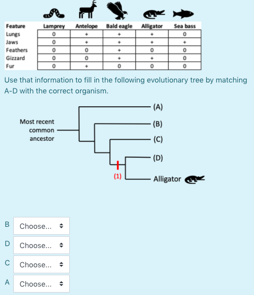 Solved The following tables indicate the presence ('+') or | Chegg.com