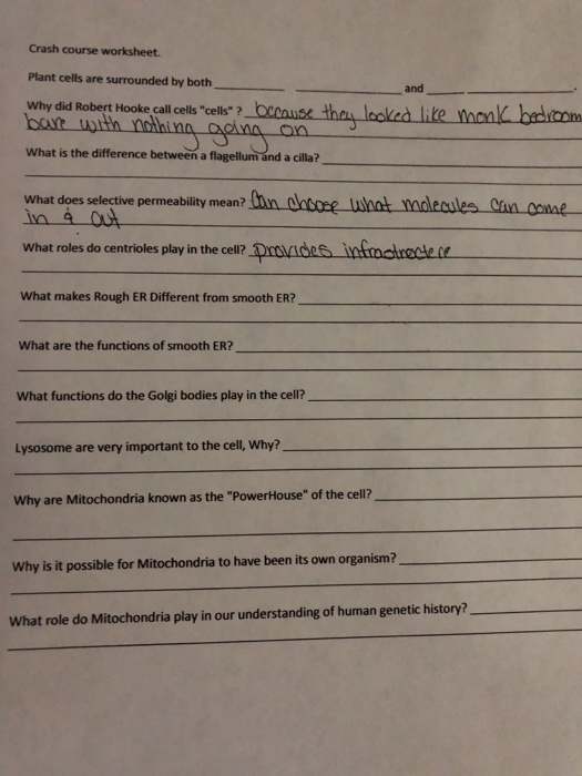 Solved Crash Course Worksheet Plant Cells Are Surrounded By Chegg Solved Crash Course Worksheet Plant Cells Are Surrounded By Chegg