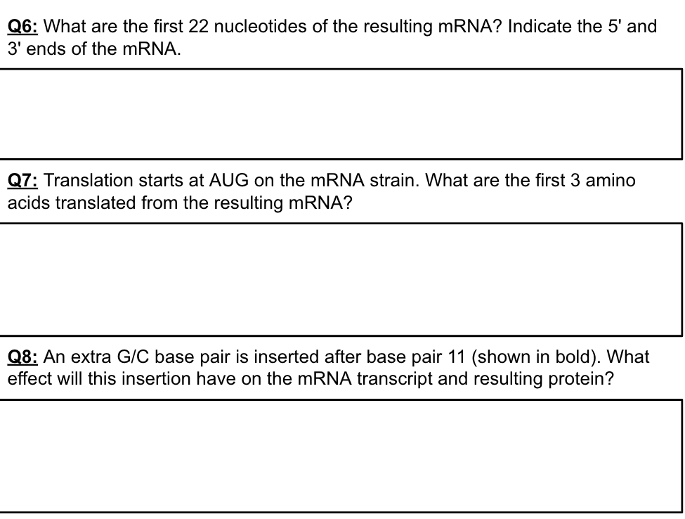 Solved Shown below is a double-stranded bacterial (E. ﻿coli) | Chegg.com
