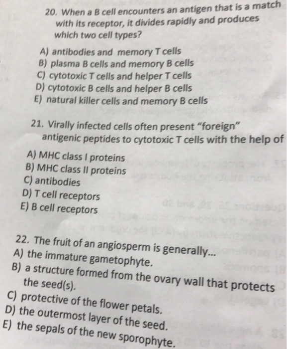 Solved When a B cell encounters an antigen that is a match | Chegg.com