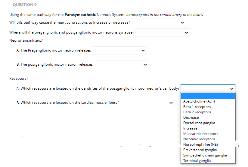[Solved]: QUESTION 9 Using the same pathway for the Parasy