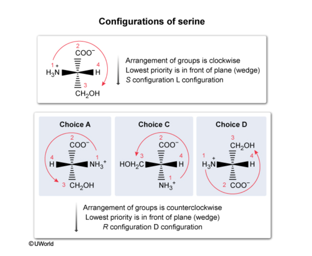 Solved Question 5 The amino acid serine is shown below. ОН | Chegg.com