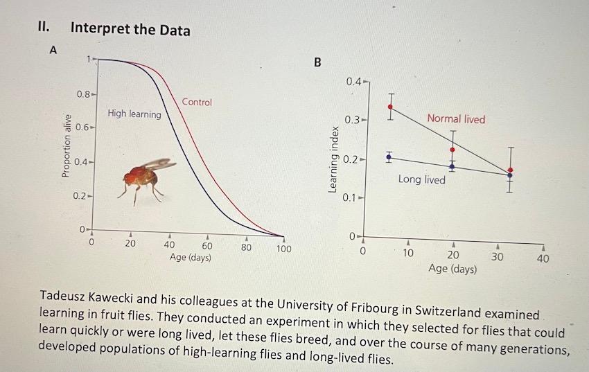 Solved A. What is your observation in A at day 70 for flies | Chegg.com