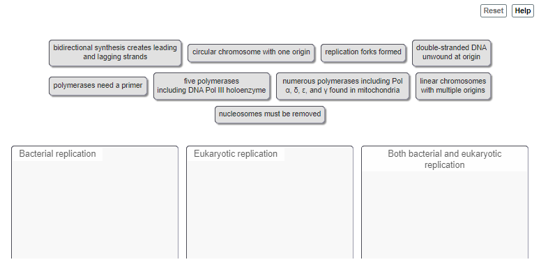 Solved Reset Help bidirectional synthesis creates leading | Chegg.com
