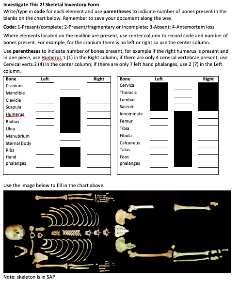 Solved Investigate This 2 ! Skeletal Inventory Form | Chegg.com