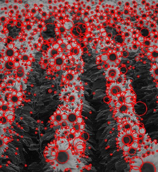 Solved Programming Assignment #1 Due: Monday, January 16th | Chegg.com