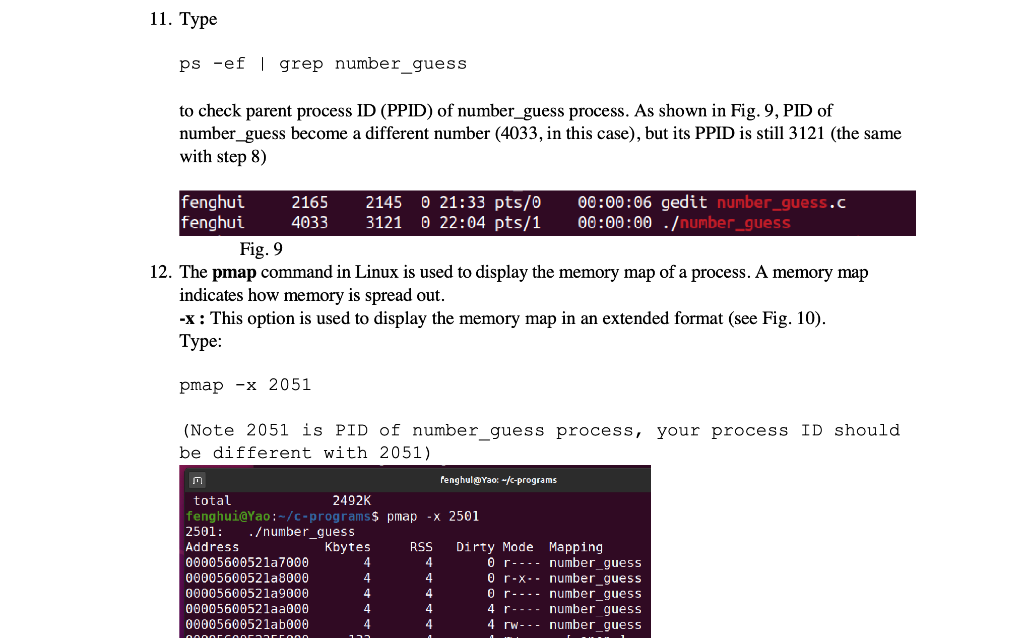Solved 1. Login to your Ubuntu account, install g++ (see | Chegg.com