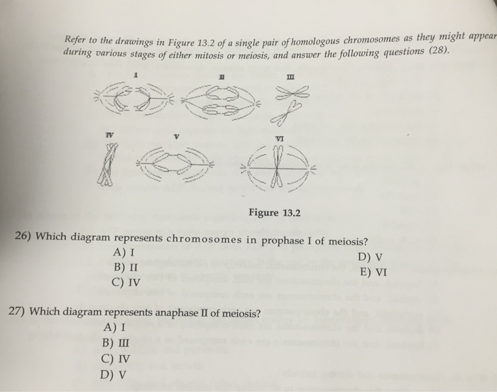 Solved Refer to the drawings in Figure 13.2 of a single pair | Chegg.com Solved Refer to the drawings in Figure 13.2 of a single pair | Chegg.com