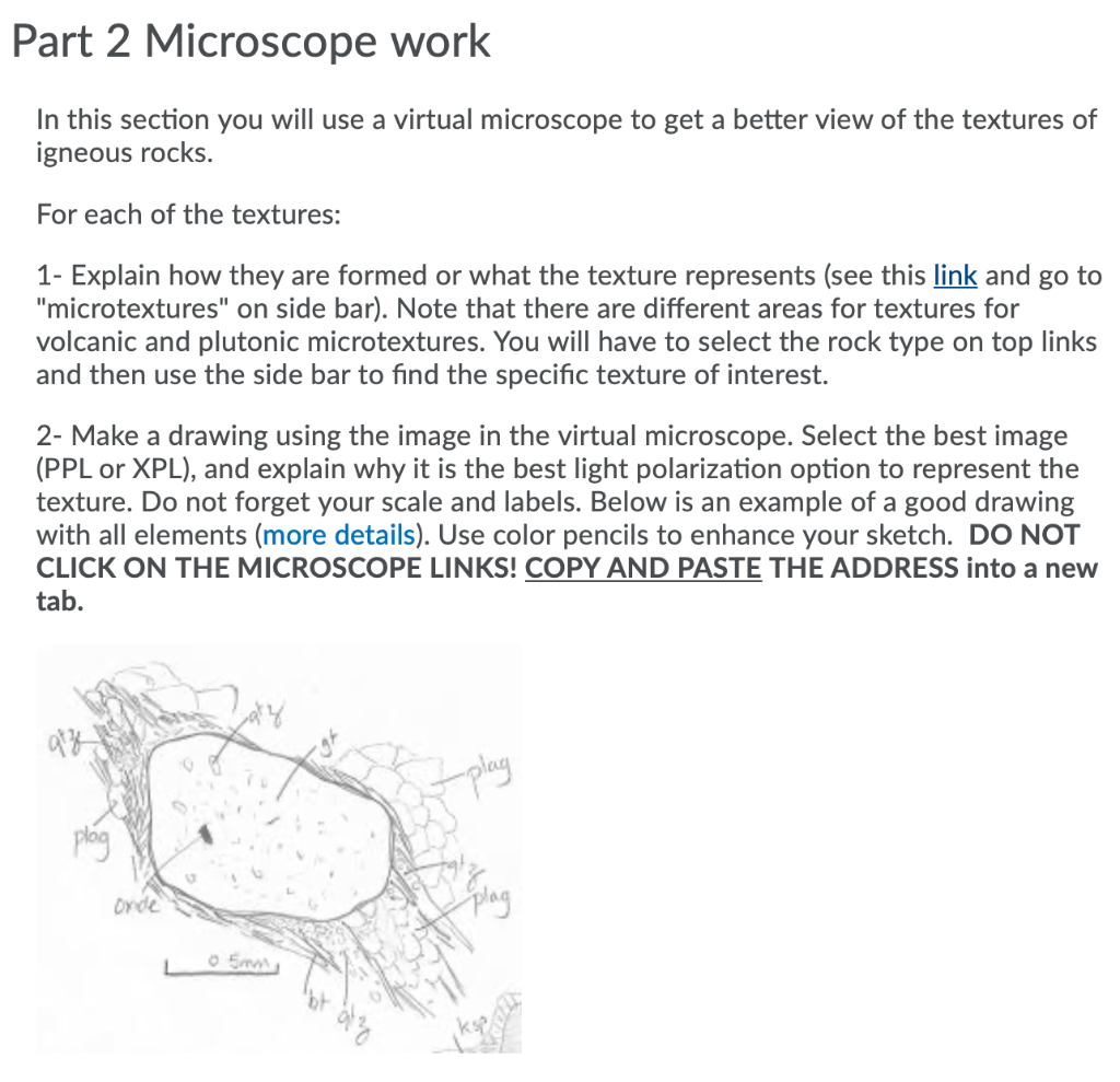 Solved Part 2 Microscope work In this section you will use a | Chegg.com