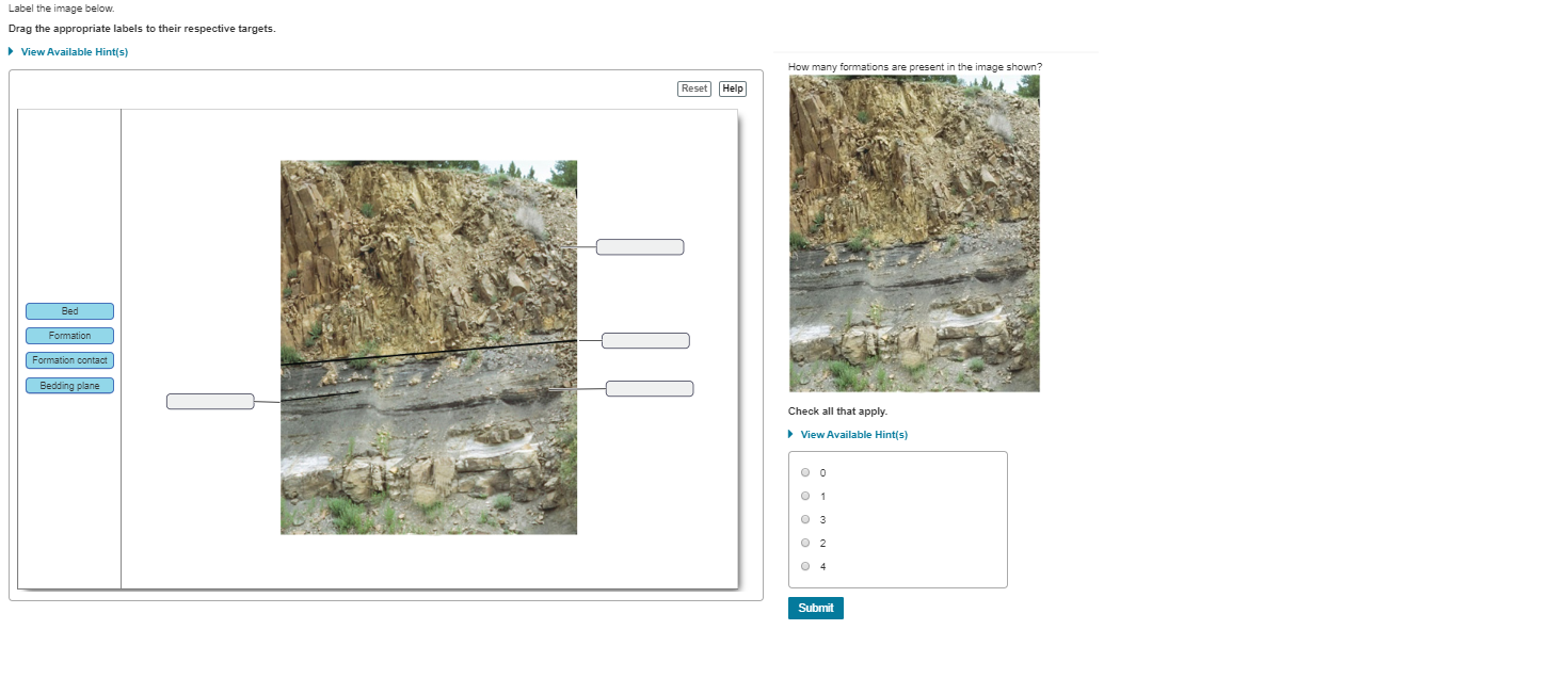 Solved Label the image below. Drag the appropriate labels to | Chegg.com