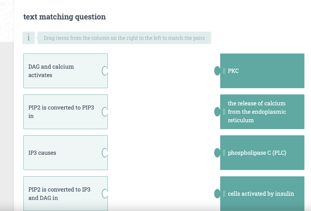 Solved text matching question Drag items from the column on | Chegg.com