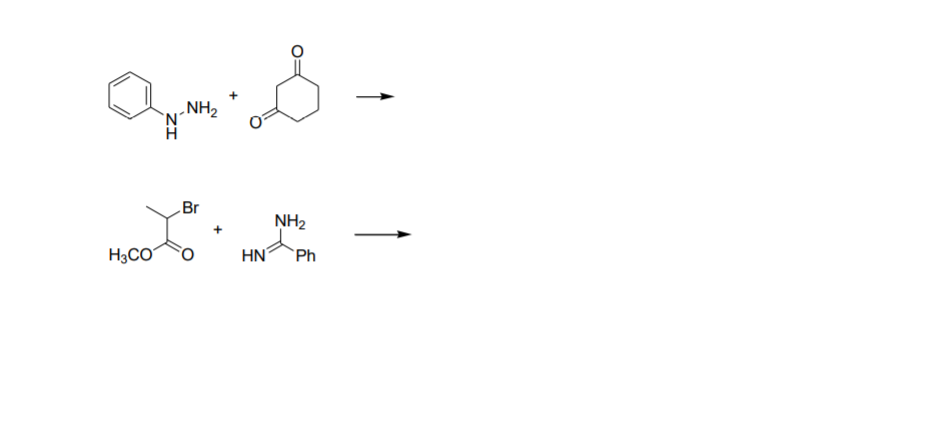 Solved NH2 'N H quib. Br NH2 НАСО HN Ph | Chegg.com