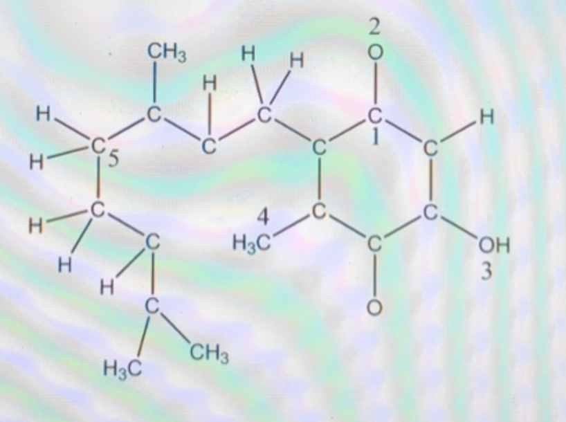 Solved Complete the Lewis structure. Below of the organic | Chegg.com
