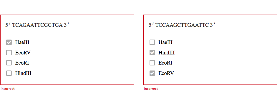 Solved The table shows where different restriction | Chegg.com