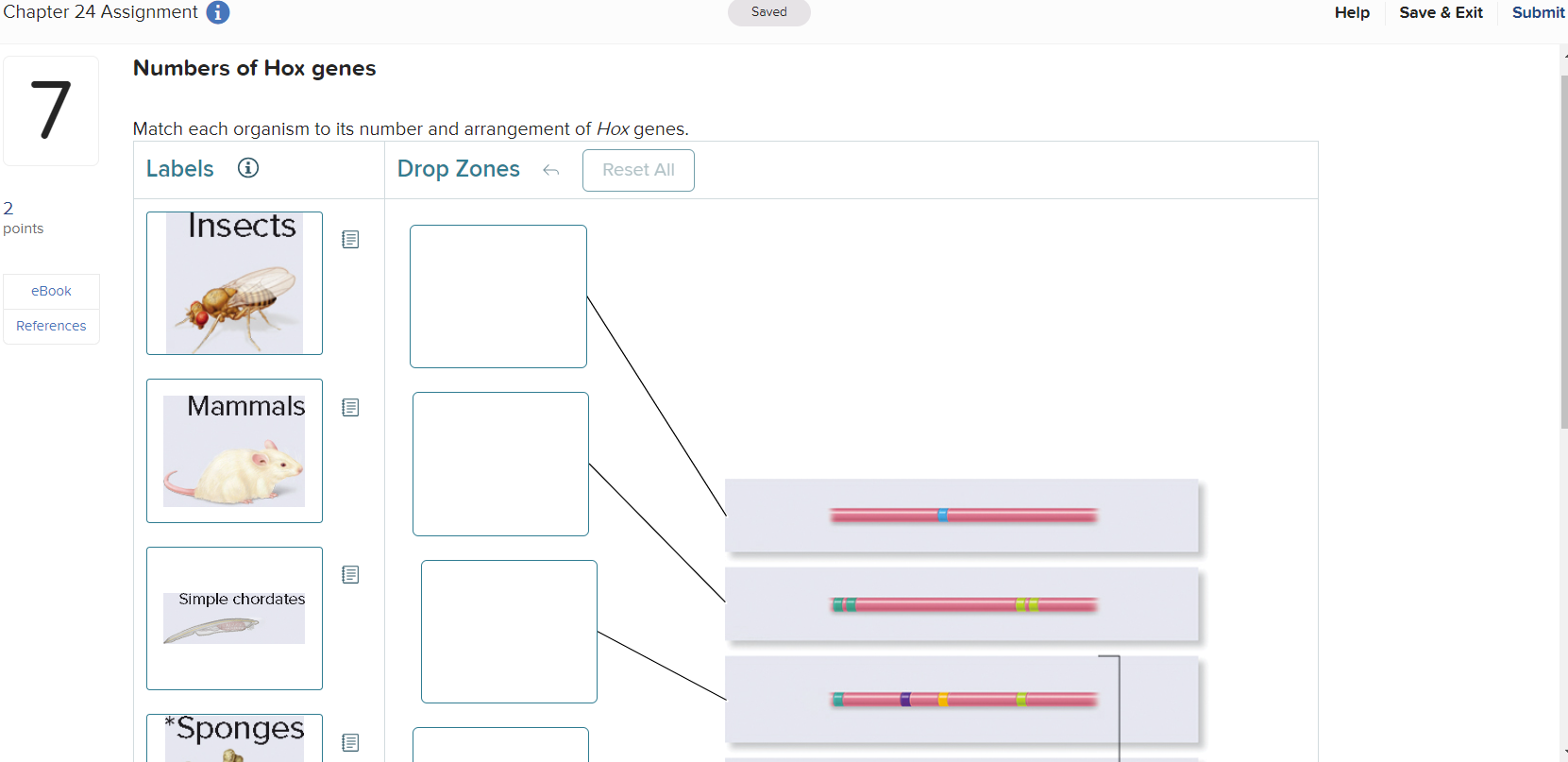Solved Numbers of Hox genes Match each orranicm to itc | Chegg.com Solved Numbers of Hox genes Match each orranicm to itc | Chegg.com