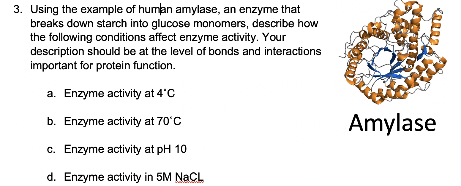 Solved 3. Using the example of human amylase, an enzyme that | Chegg.com