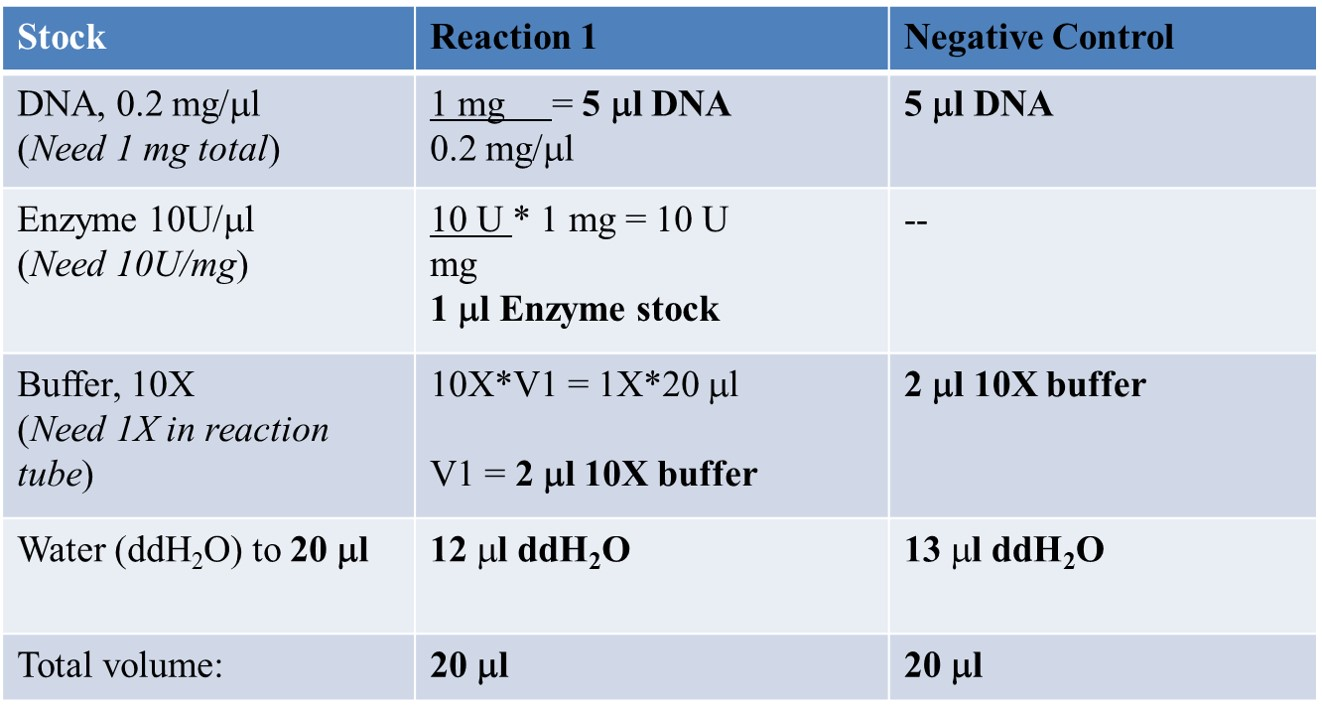 Solved example of the table from lecture1. Make a table | Chegg.com