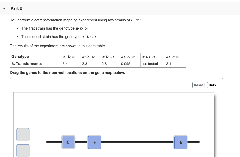 Solved Part B You perform a cotransformation mapping | Chegg.com