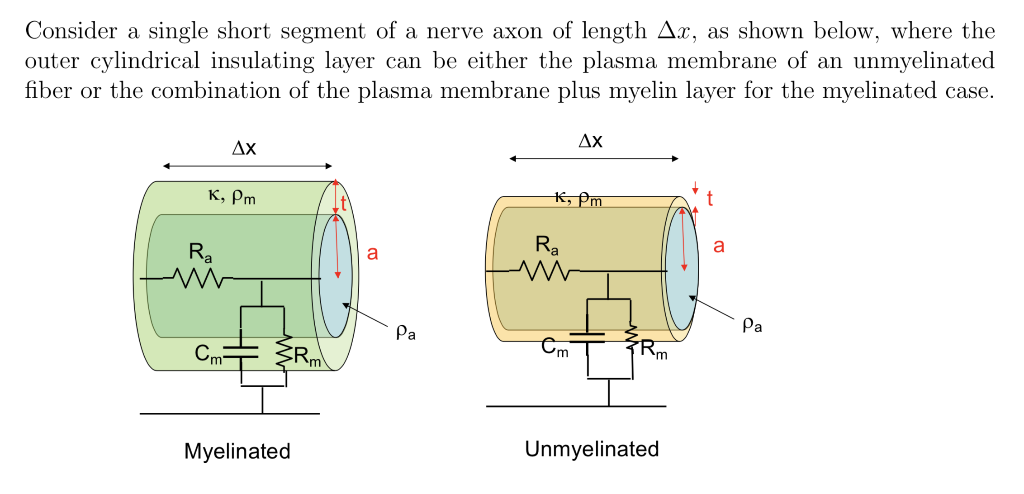 Problem 2. The resistor-capacitor network model we | Chegg.com