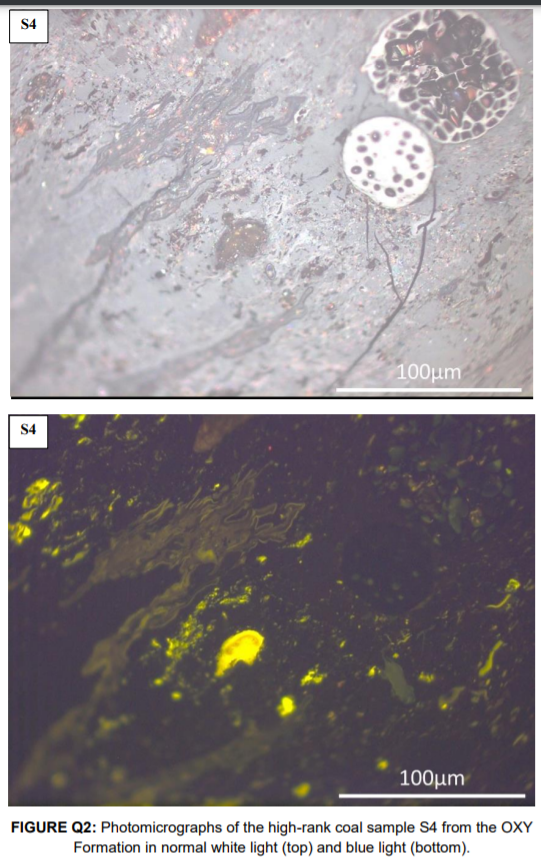 Eight photomicrographs of the high-rank coal samples | Chegg.com