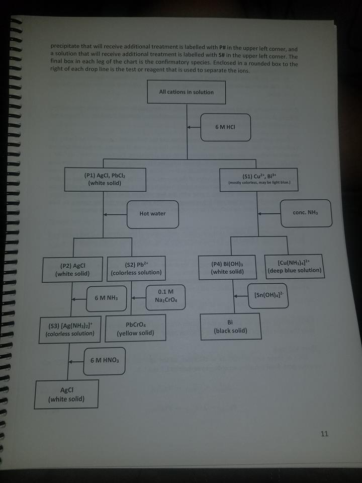 Solved 10) Below is a blank qualitative analysis flowchart. | Chegg.com