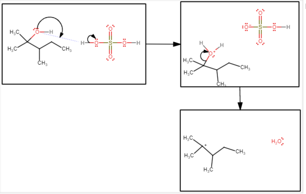 Solved Draw the final step of the mechanism and predict the | Chegg.com