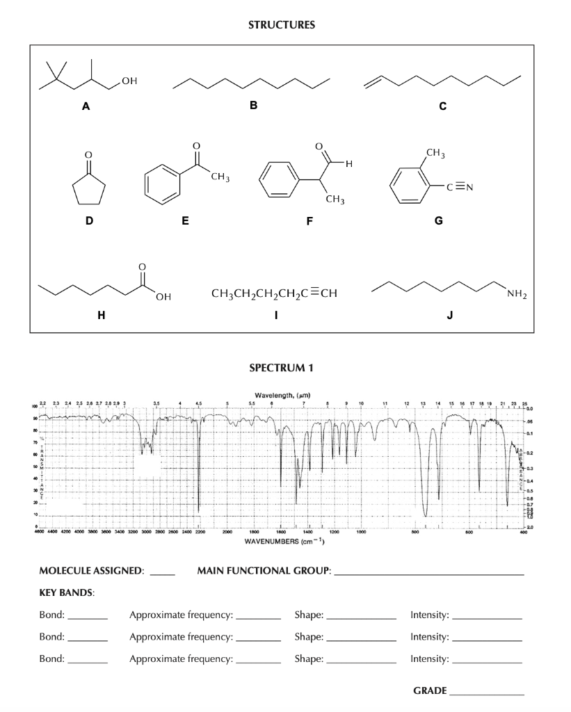 Solved ORGANIC CHEMISTRY LAB I IR INTERPRETATION EXERCISE | Chegg.com