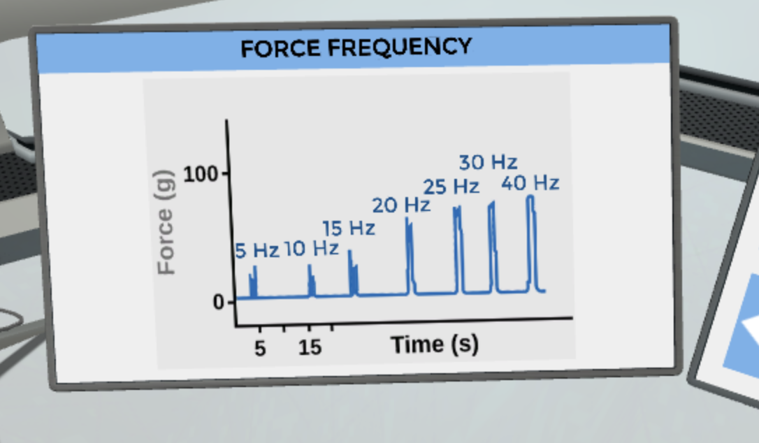 Solved The Soleus tetanus peaks are fused, which means that | Chegg.com