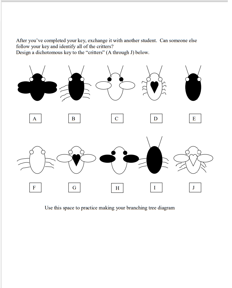 Activity 2-Constructing a Dichotomous Key Part | Chegg.com