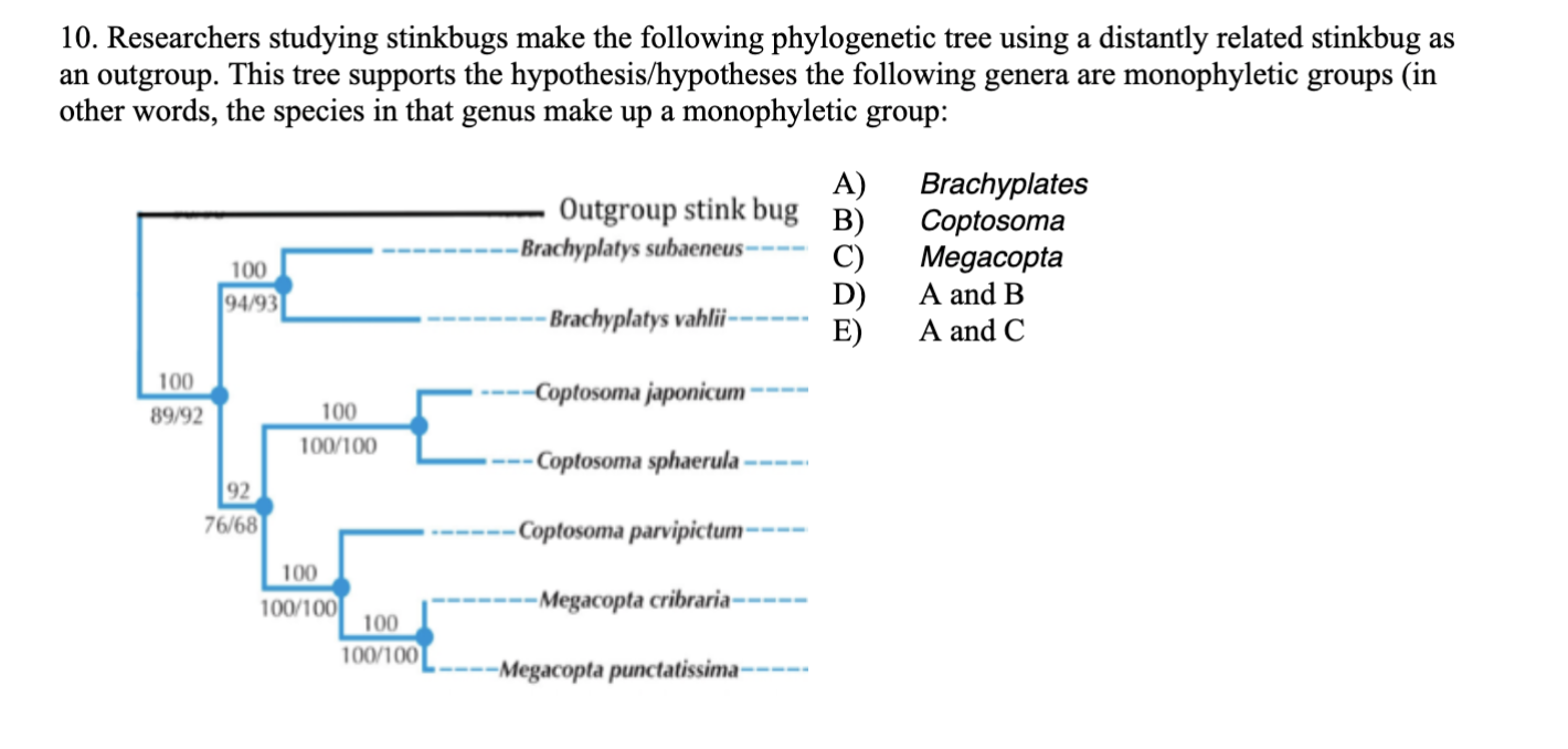 Solved 10. Researchers studying stinkbugs make the following | Chegg.com
