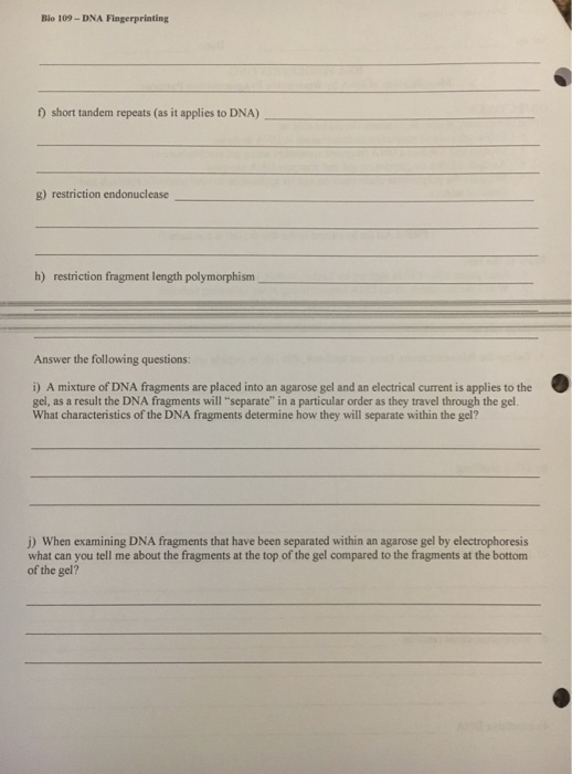 Solved Bio 109-DNA Fingerprinting f) short tandem repeats | Chegg.com