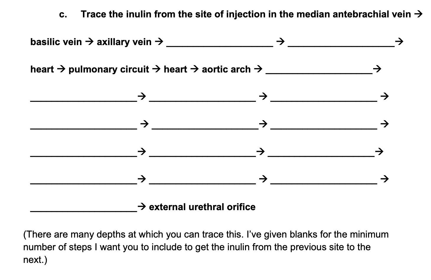 c. Trace the inulin from the site of injection in the | Chegg.com