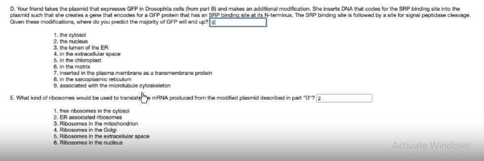 Solved The list of codons is below, with codons shown in a | Chegg.com