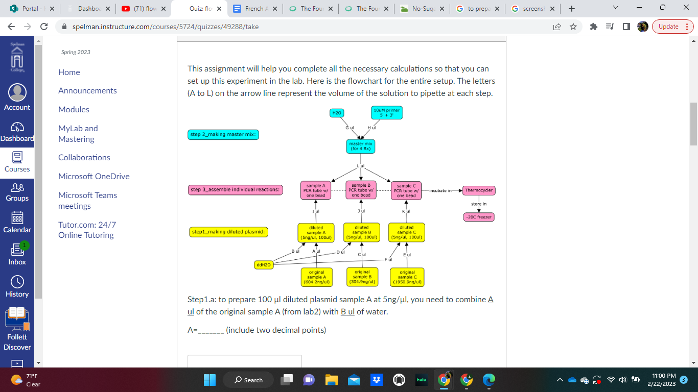 Solved Flow Chart Lab 5 Beads Starting material: 10 uM , | Chegg.com