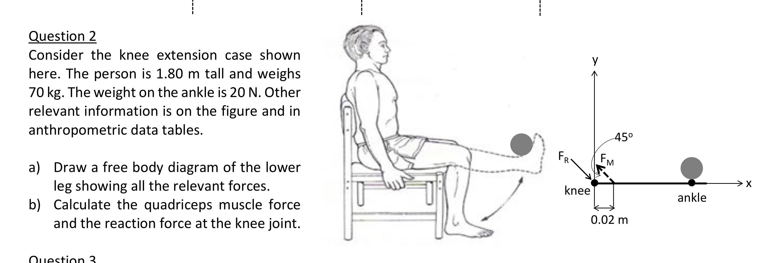 Solved Question 2 Consider the knee extension case shown | Chegg.com