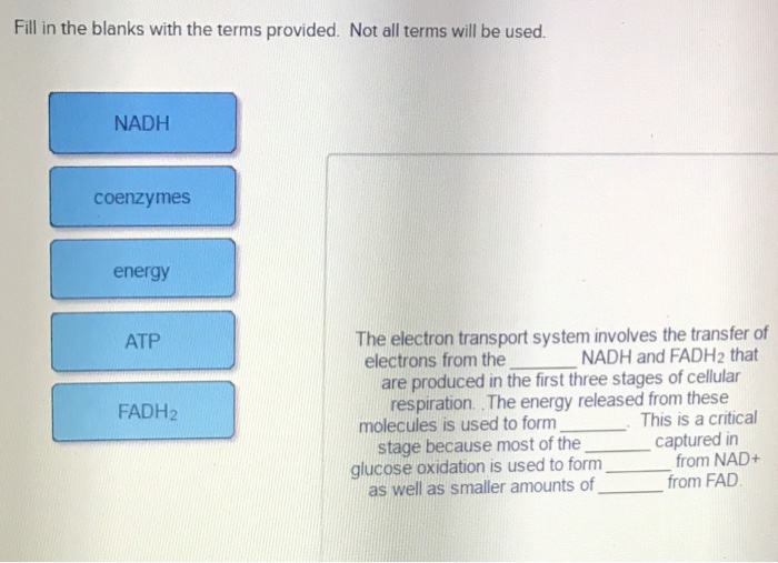 Solved Fill in the blanks with the terms provided. Not all | Chegg.com