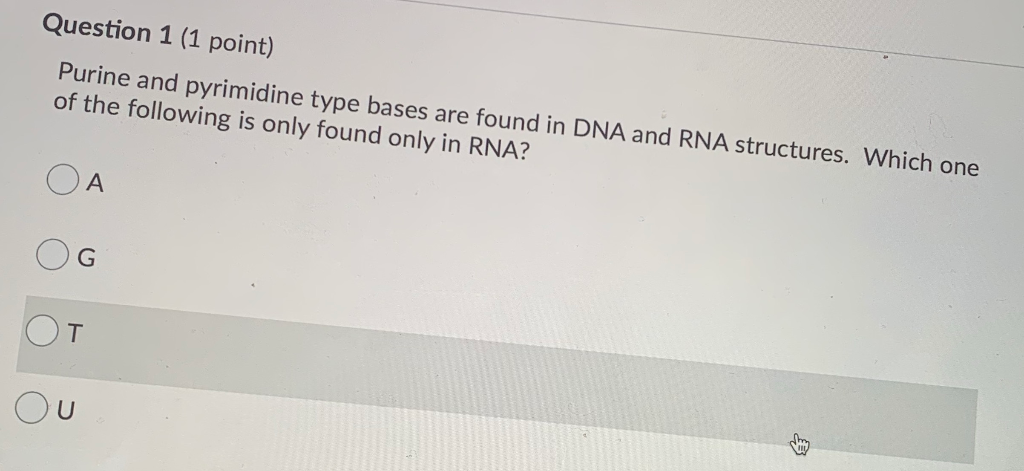 Solved Question 5 (2 points) The informational strand of a | Chegg.com