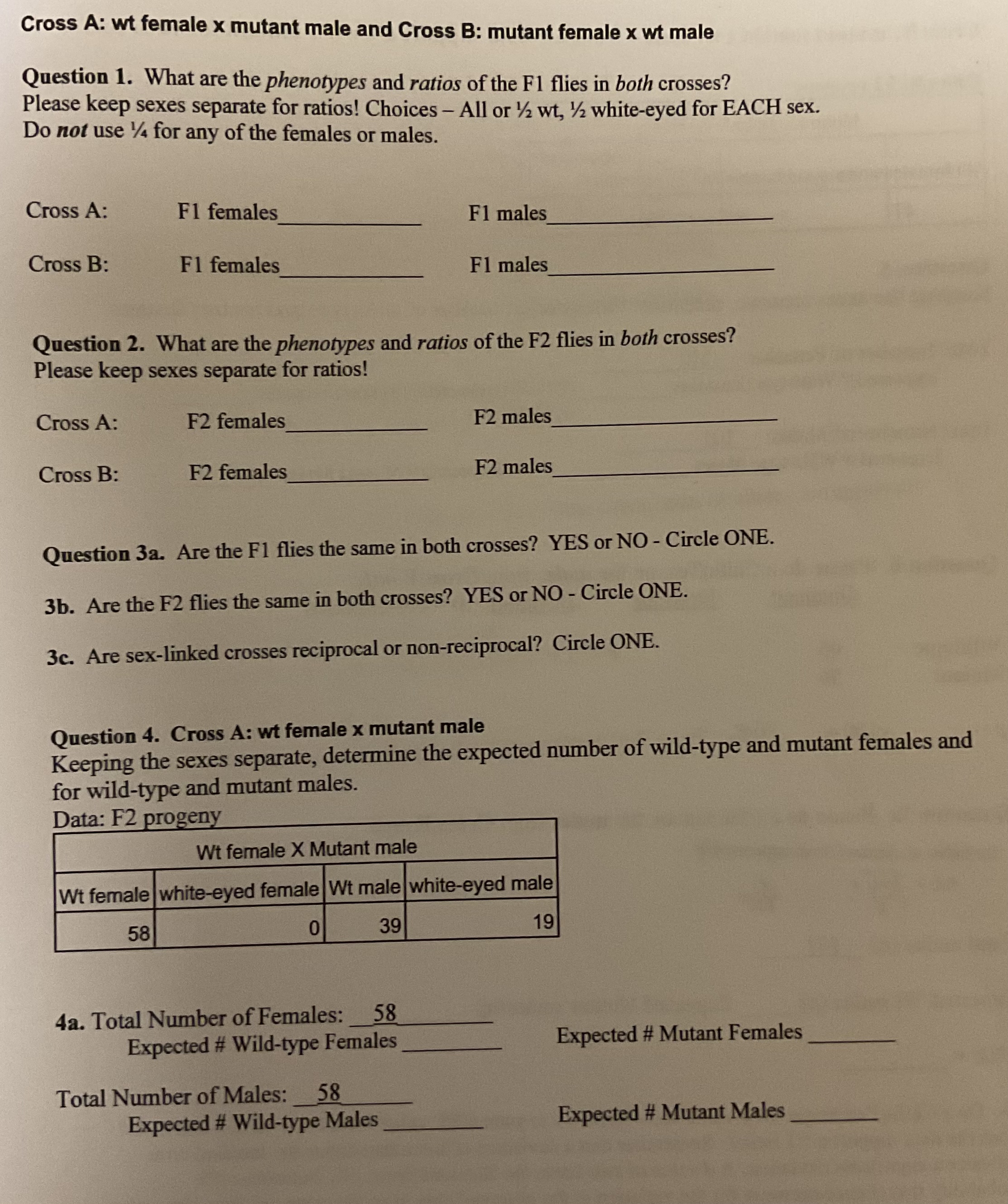 Solved Please answer all as soon as possible!! | Chegg.com