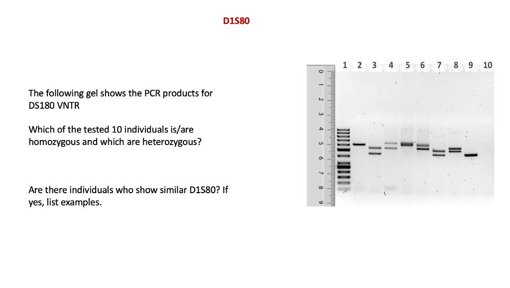 Solved The following gel shows the PCR products for DS180 | Chegg.com