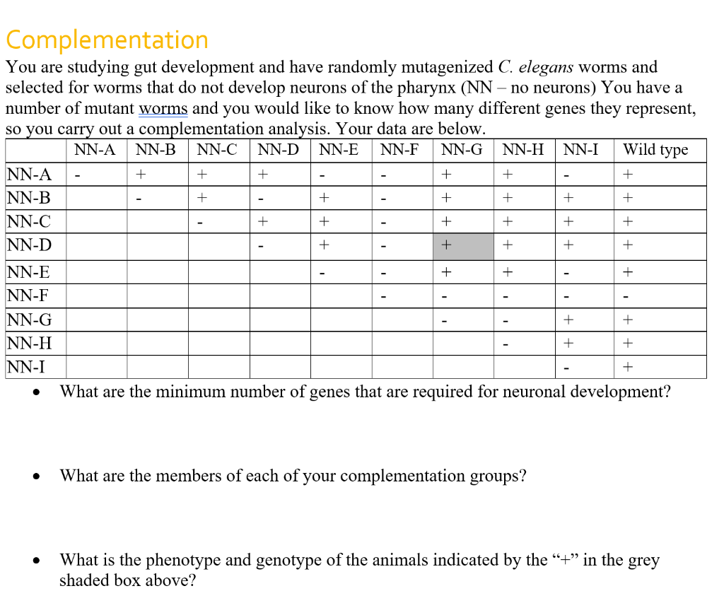 Solved Complementation You are studying gut development and | Chegg.com