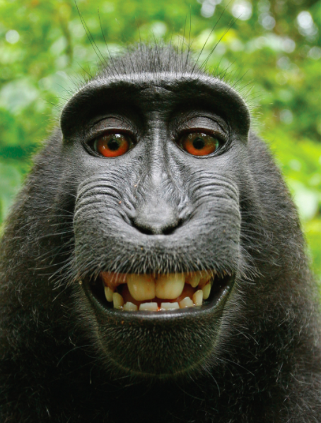 2. In this lab, we reviewed different examples of | Chegg.com