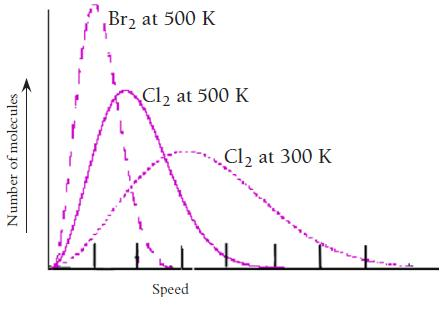 Solved Choose the correct single graph that shows the speed | Chegg.com