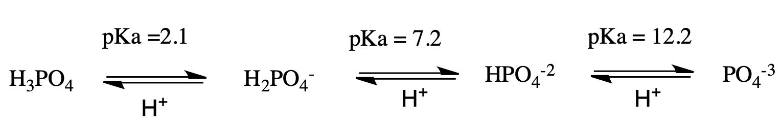 Phosphate buffer solutions provide a basis of | Chegg.com