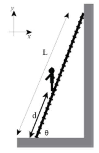 a) Find the magnitude of the normal force, N, in | Chegg.com