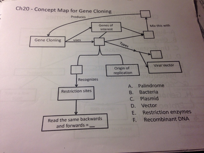 Solved Ch20 - Concept Map for Gene Cloning Produces Genes of | Chegg.com