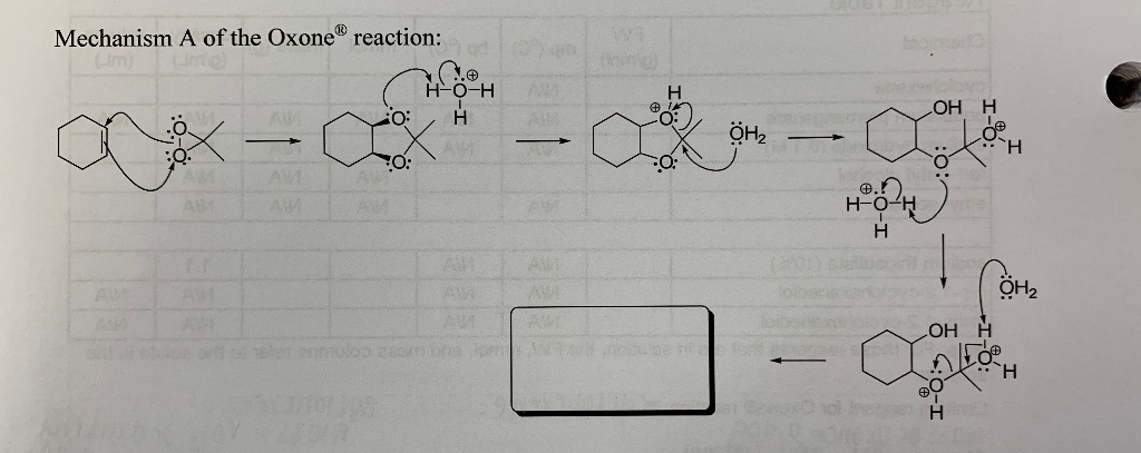 Solved Copy the proposed mechanisms for the Oxone reaction | Chegg.com